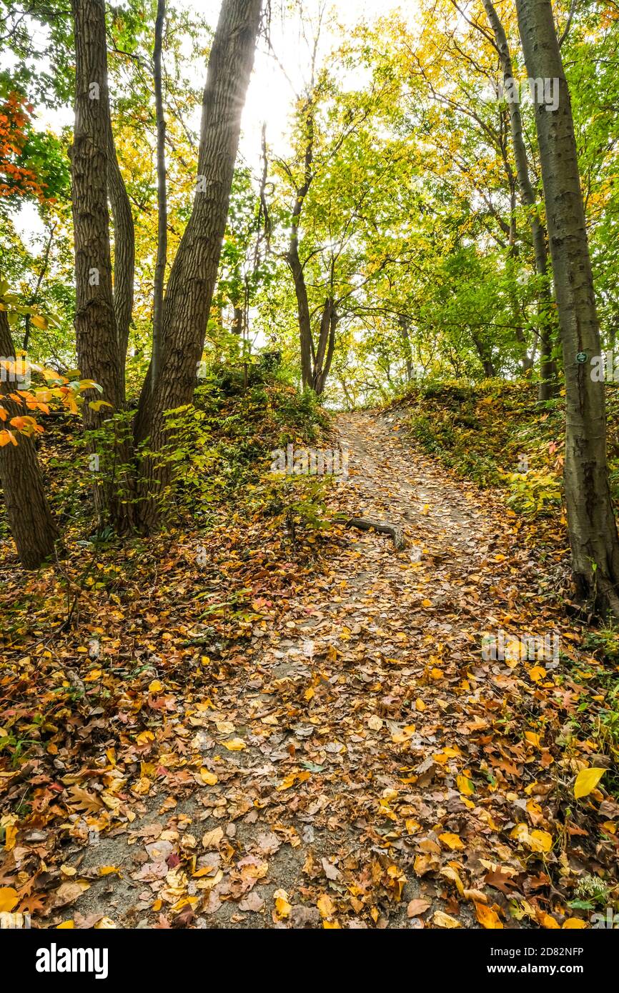 Hiking in the fall Stock Photo - Alamy
