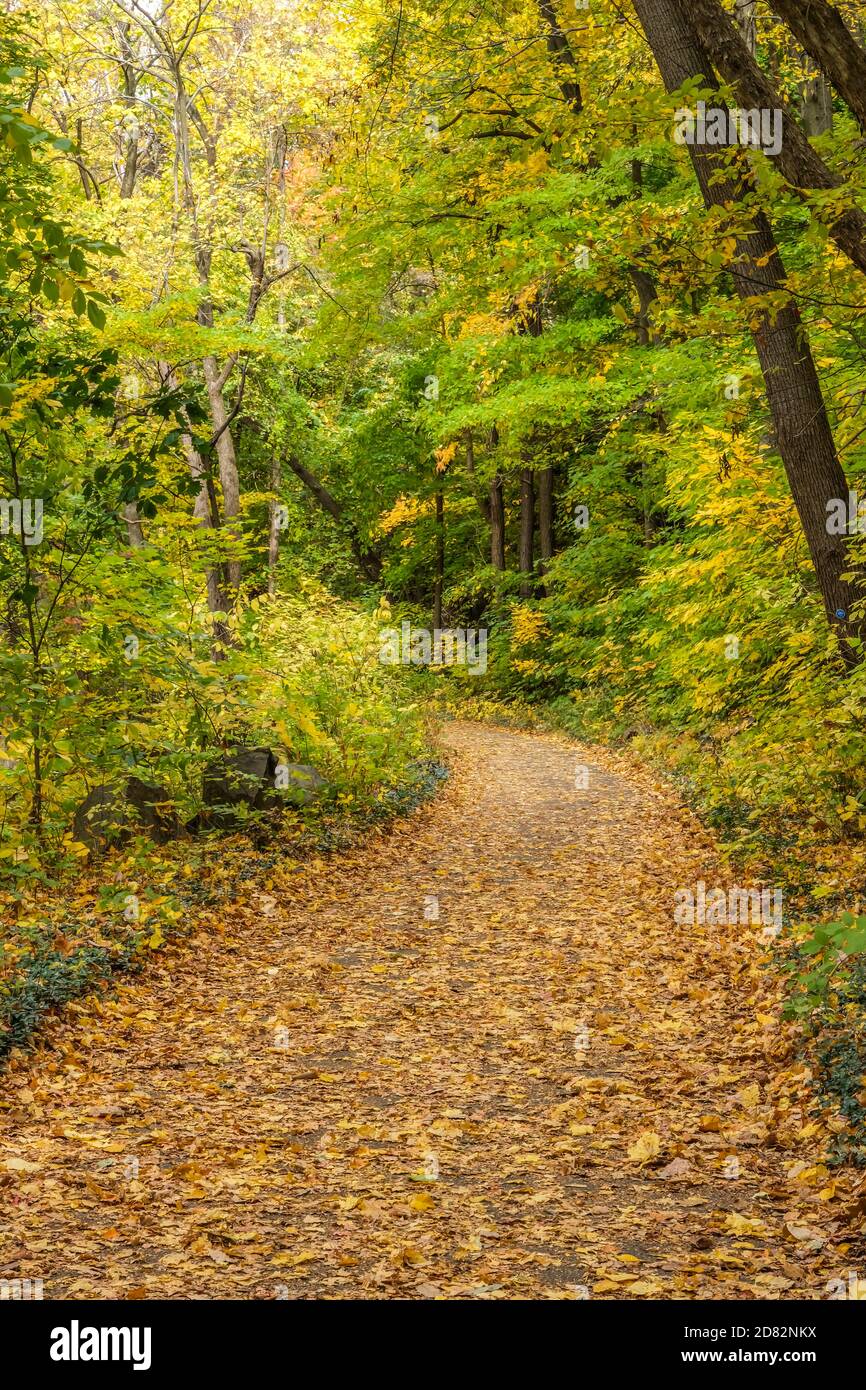 Hiking in the fall Stock Photo - Alamy