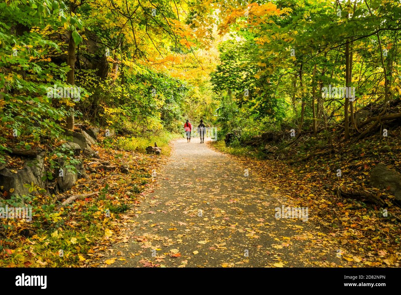 Hiking in the fall Stock Photo - Alamy