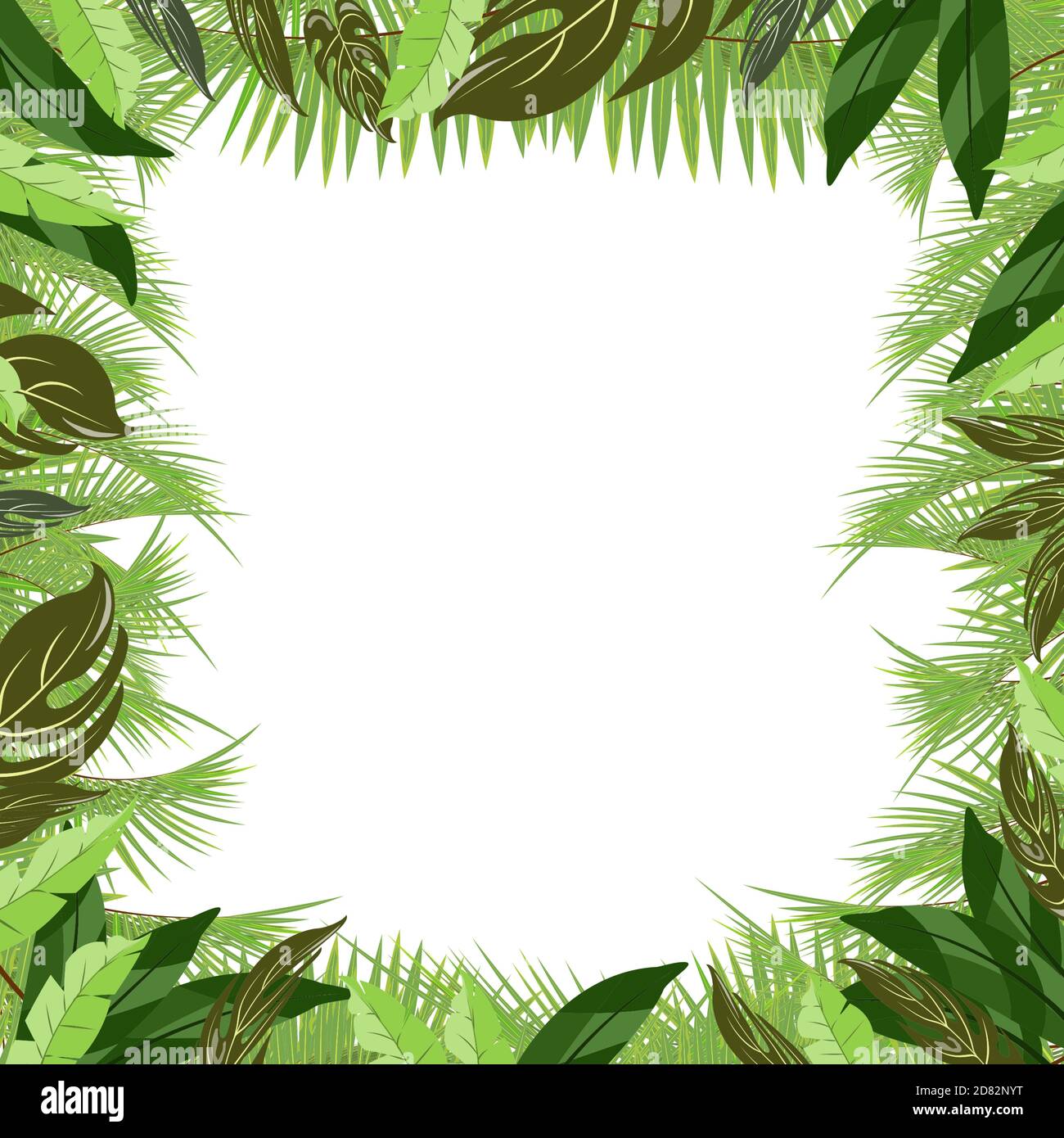 Tropical Border Vector