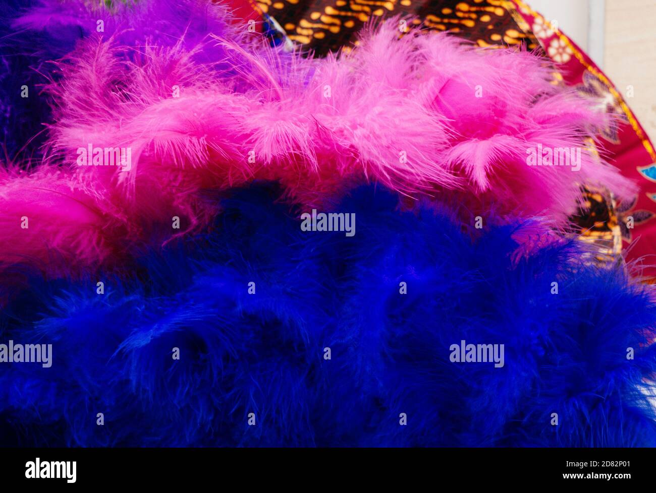 Colorful bird feathers hi-res stock photography and images - Alamy