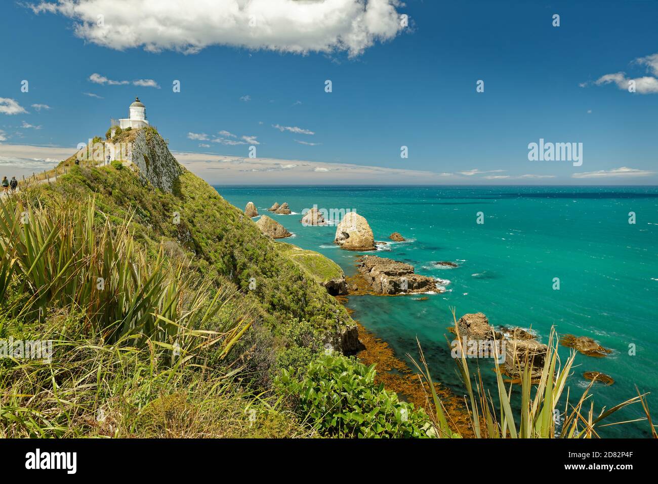 New Zealand - Nugget point on Southern Island, one of the most iconic ...