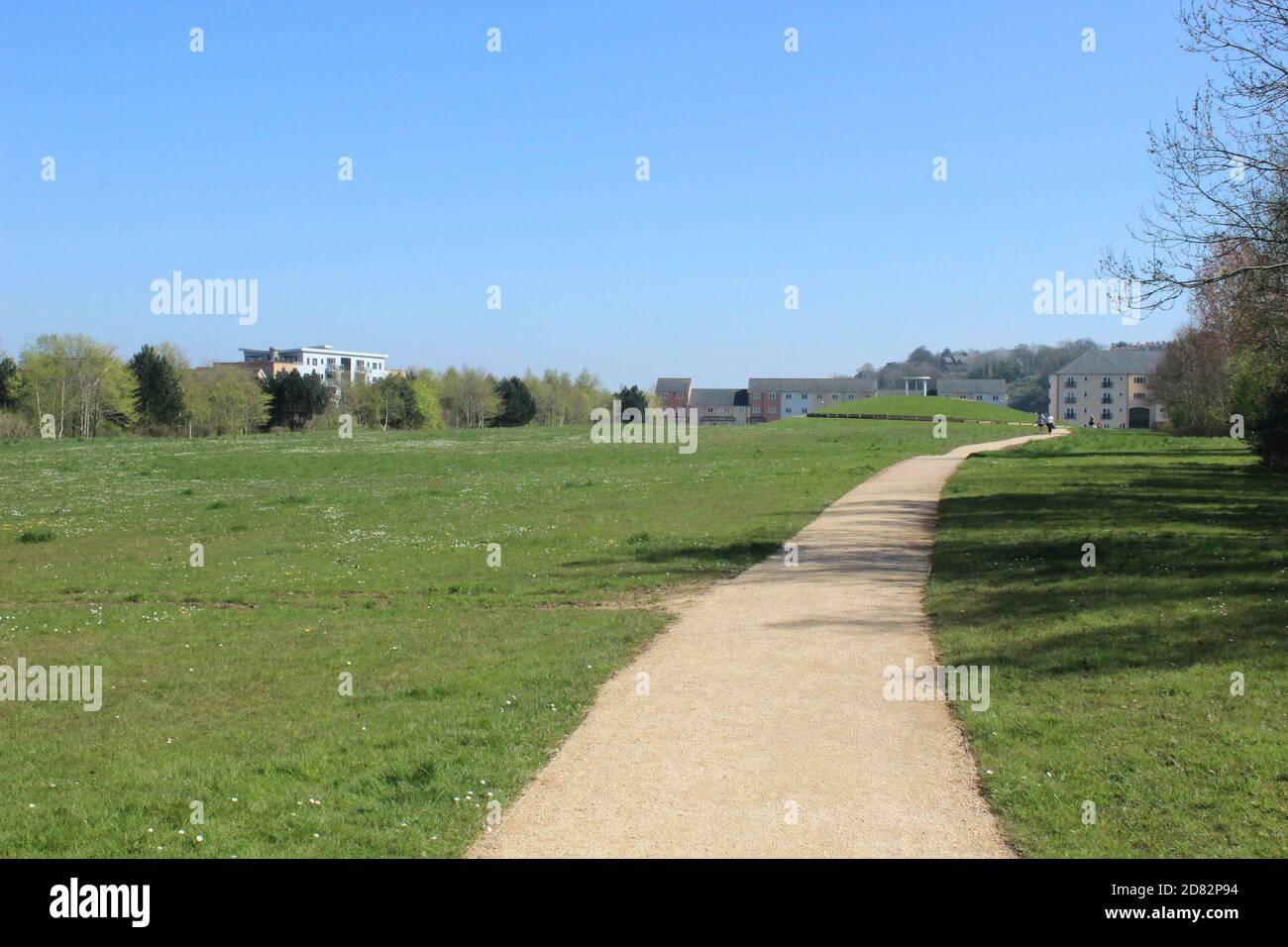 long path in a grassy field with trees Stock Photo - Alamy