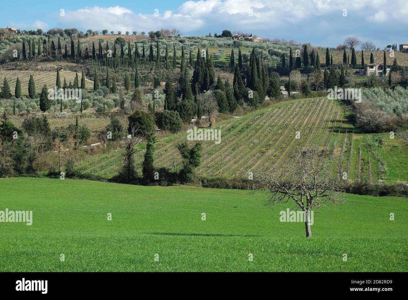 Tuscan countryside beauty hi-res stock photography and images - Alamy