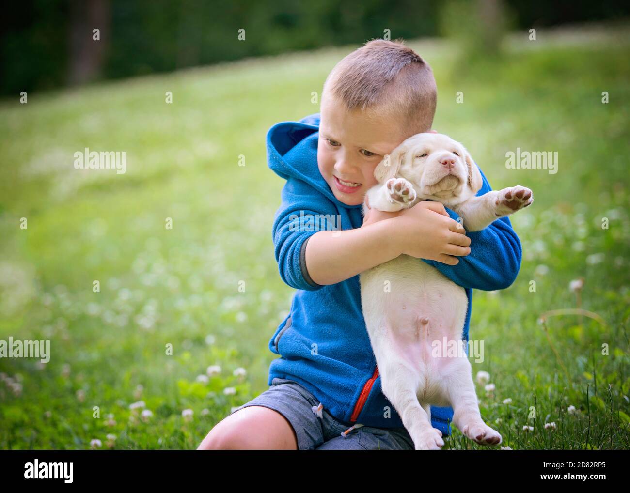 Young Boy Hugging a Lab Puppy Stock Photo - Alamy