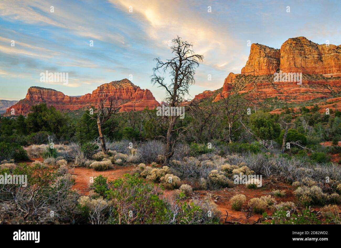 Landscape, Desert Buttes at Sedona, Arizona Stock Photo - Alamy