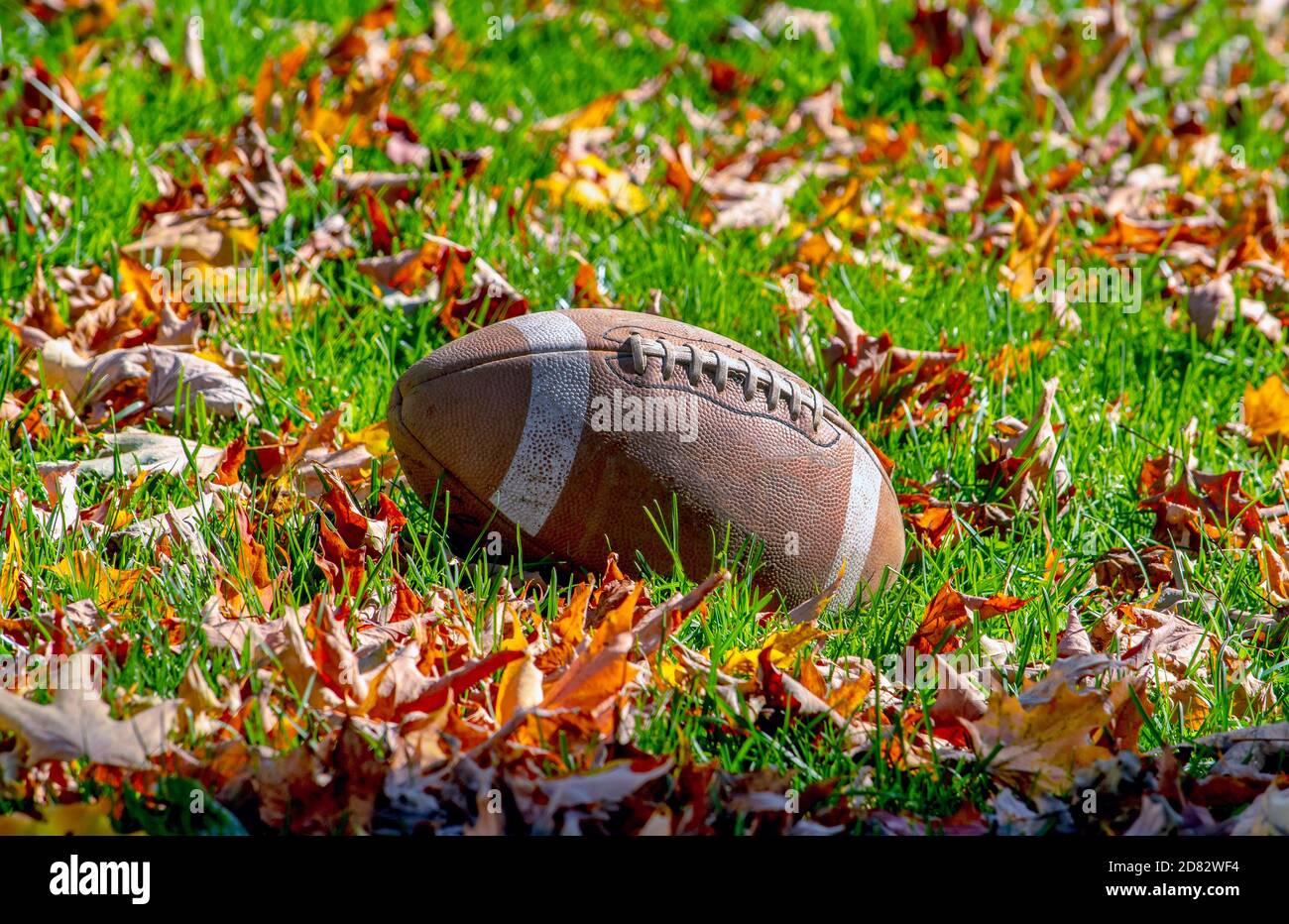 Football lies in a leaf strewn field, ready for a fall touchdown Stock ...