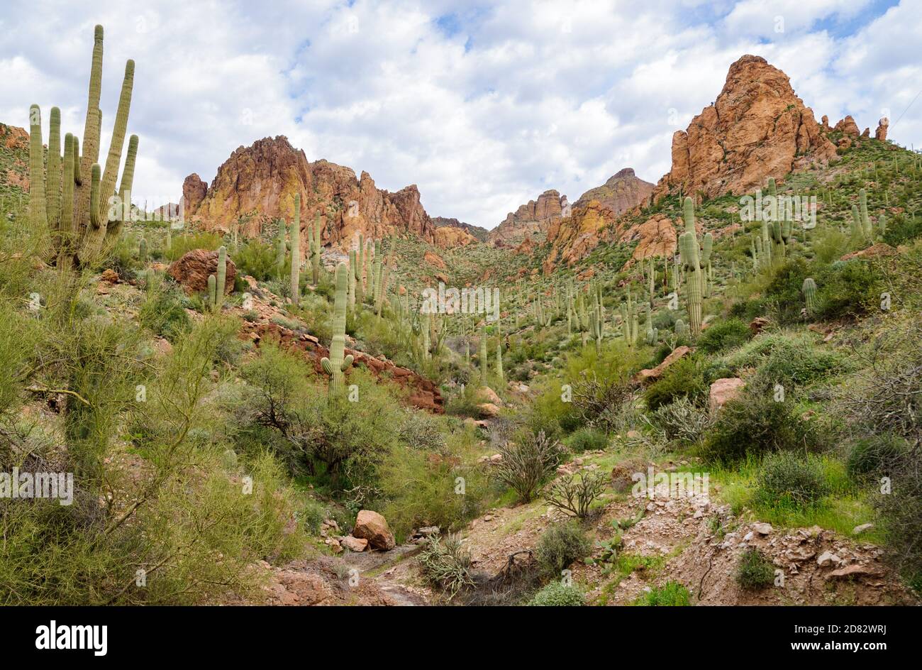 Tonto apache reservation hi-res stock photography and images - Alamy