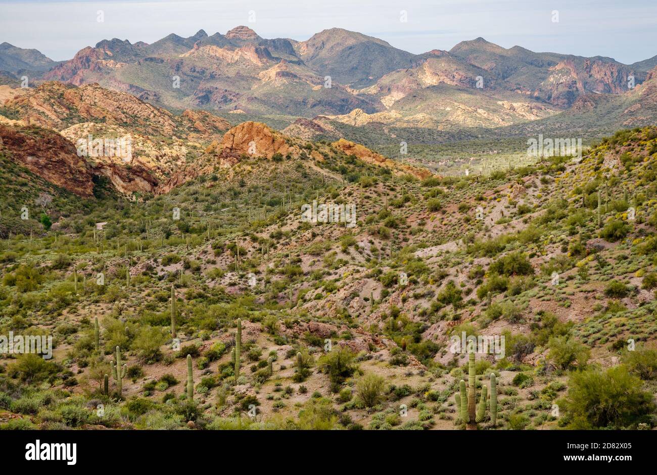 Desert landscape at the Apache Trail Stock Photo - Alamy