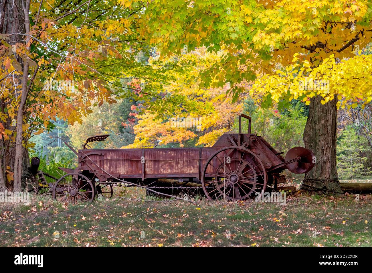 Rusted antique farm machinery sits under a colorful canopy of leaves in ...