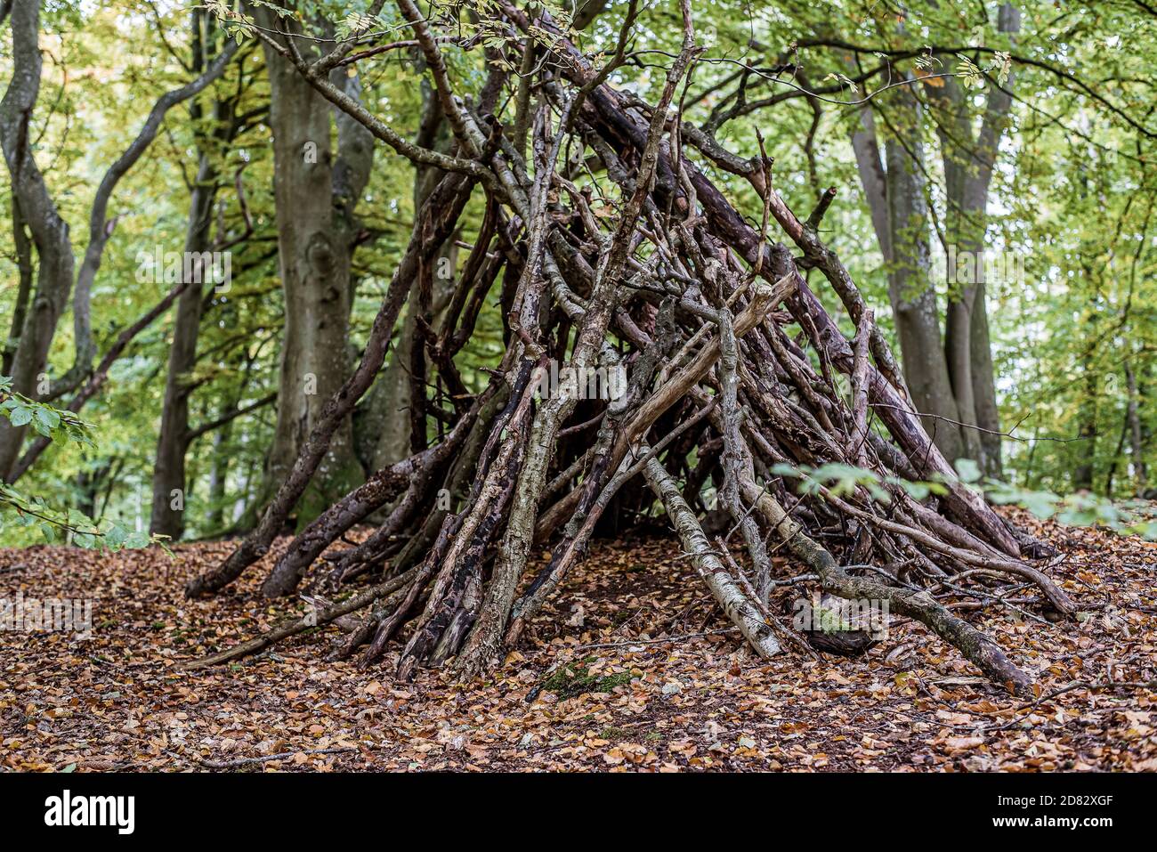 Hut made of branches hi-res stock photography and images - Alamy