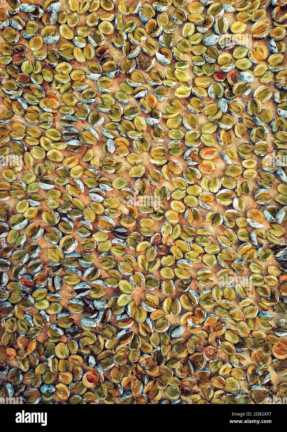 October sun plums hi-res stock photography and images - Alamy