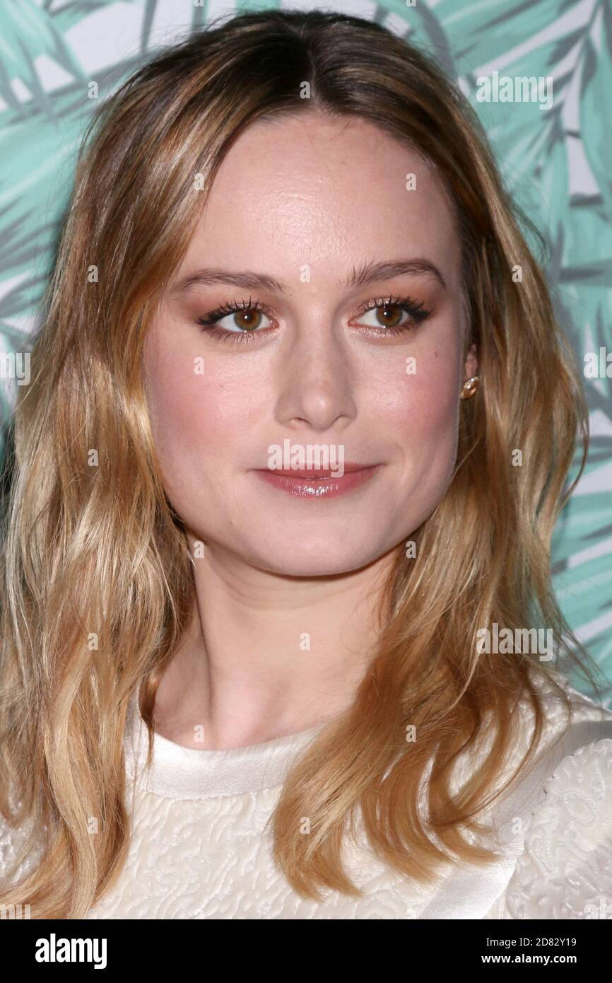 LOS ANGELES - FEB 24: Brie Larson at the 10th Annual Women in Film Pre ...