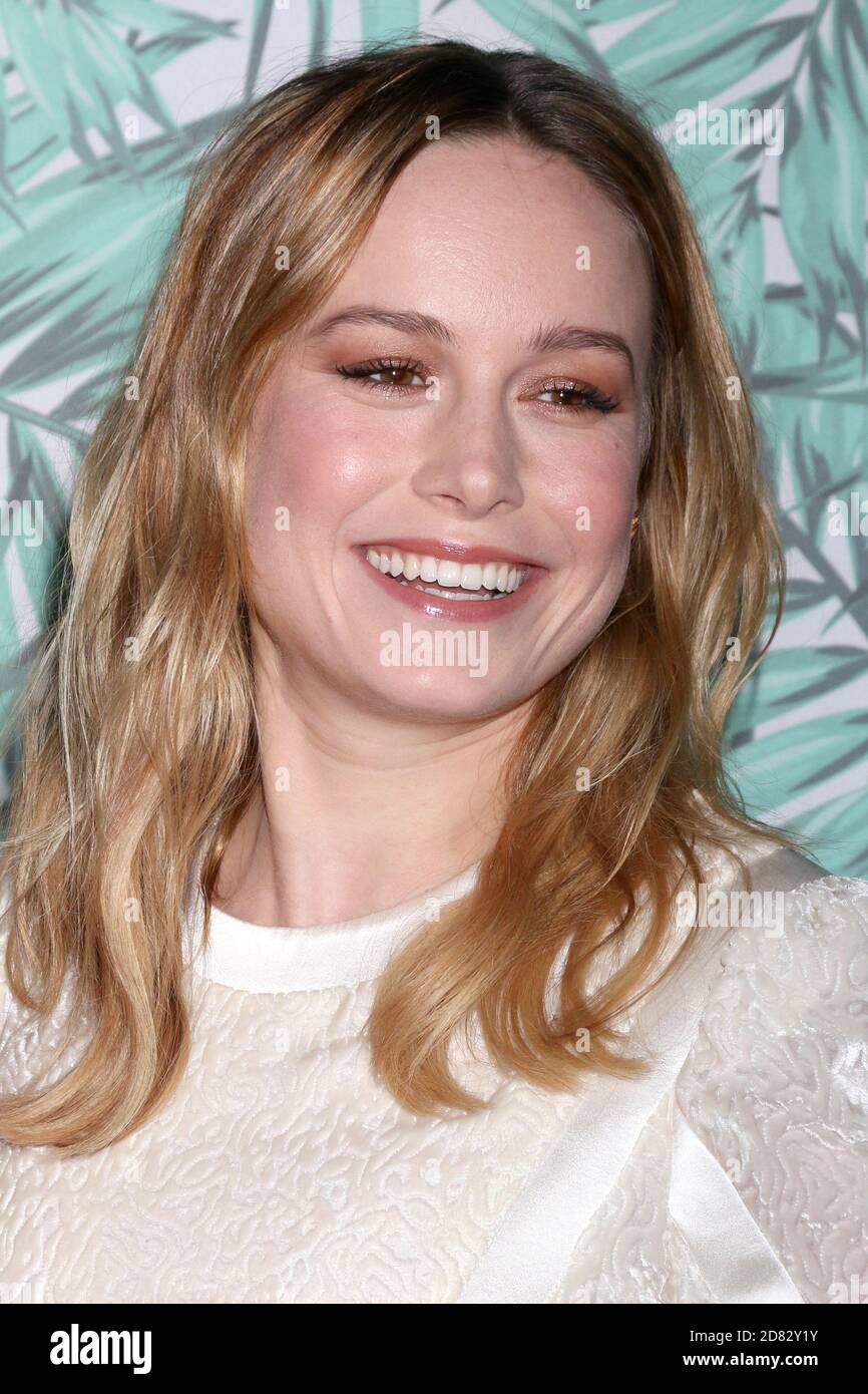 LOS ANGELES - FEB 24: Brie Larson at the 10th Annual Women in Film Pre ...