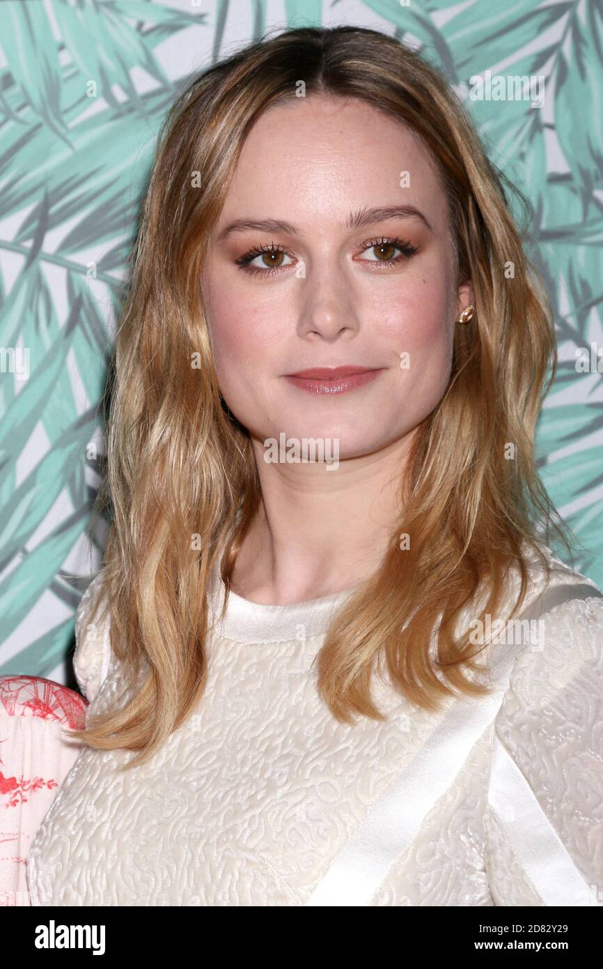 LOS ANGELES - FEB 24: Brie Larson at the 10th Annual Women in Film Pre ...