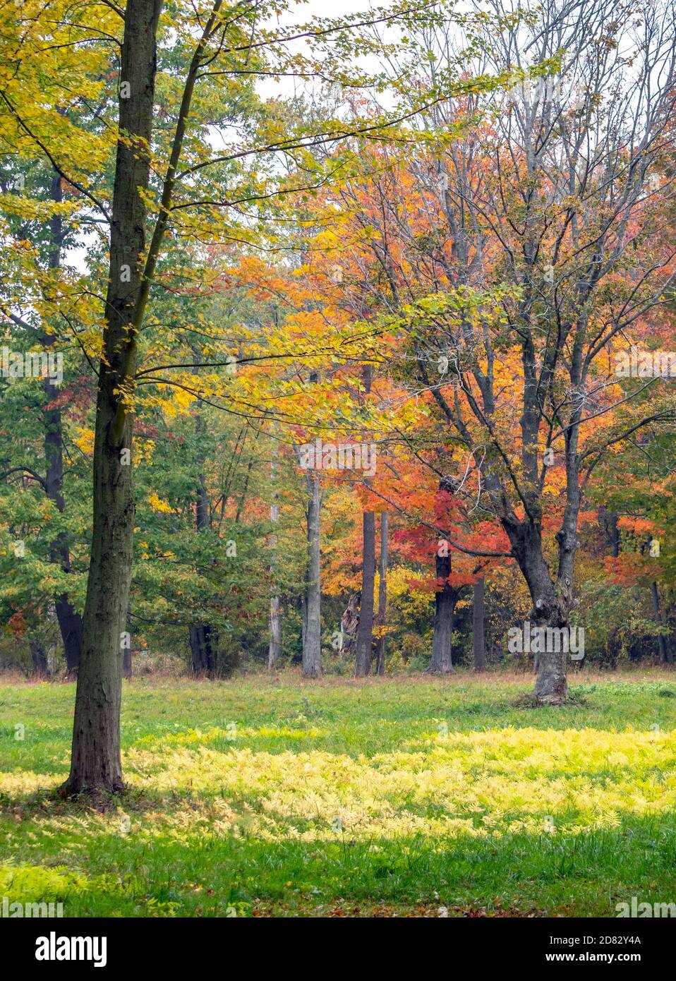 October landscape hi-res stock photography and images - Alamy