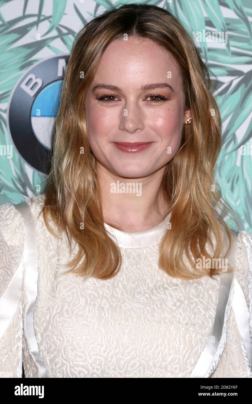 LOS ANGELES - FEB 24: Brie Larson at the 10th Annual Women in Film Pre ...