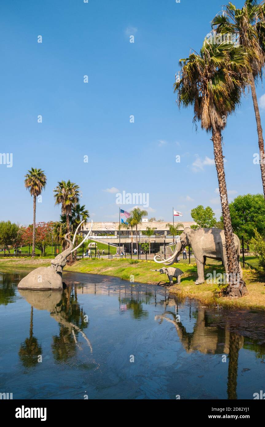 La Brea Tar Pits Stock Photo - Alamy