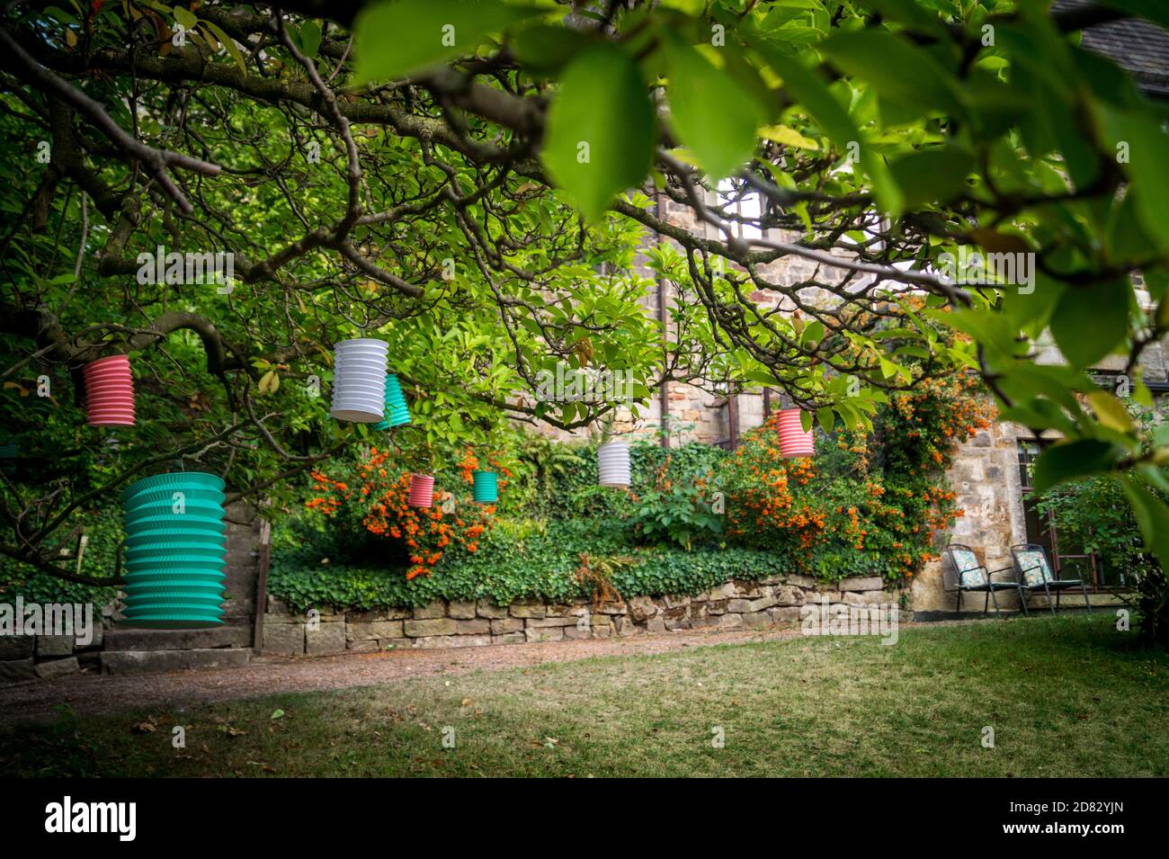 Decorated tree in the garden with lanterns Stock Photo - Alamy
