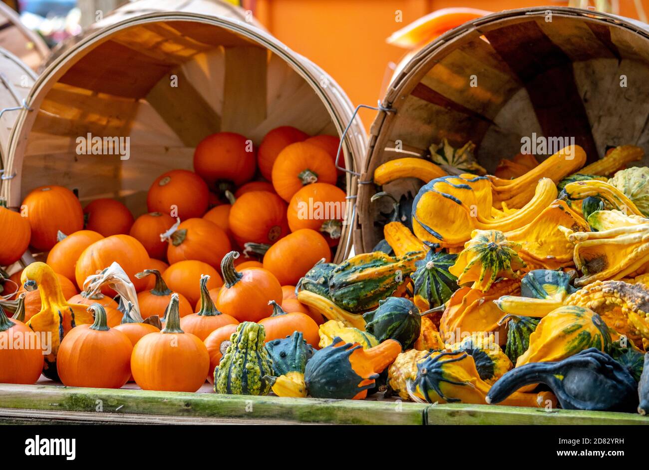 Seasonal fall produce at a farm market, for Autumn decorating Stock ...