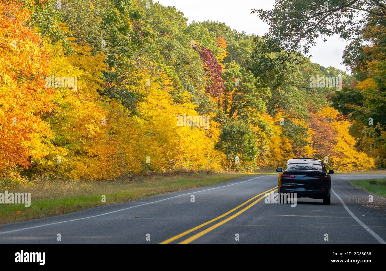 Trees put on their vibrant fall colors during October, and people come ...