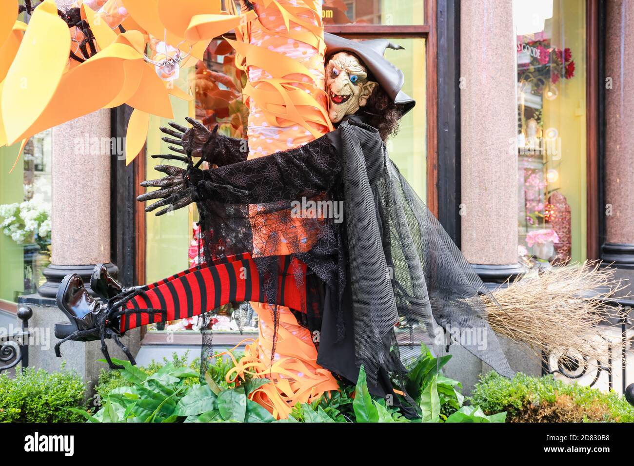 Thomas goode hi-res stock photography and images - Alamy