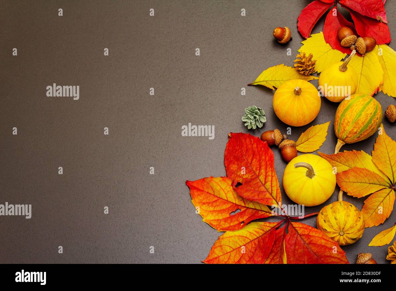 Autumn background with decorative pumpkins, fall leaves, acorns and fir ...