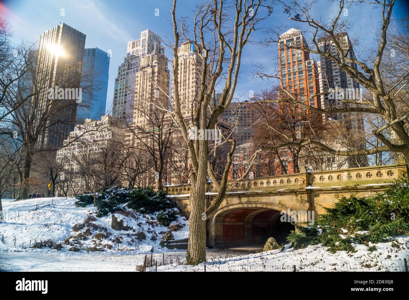Balcony Bridge Central Park Central Park Walking Tour • View Details