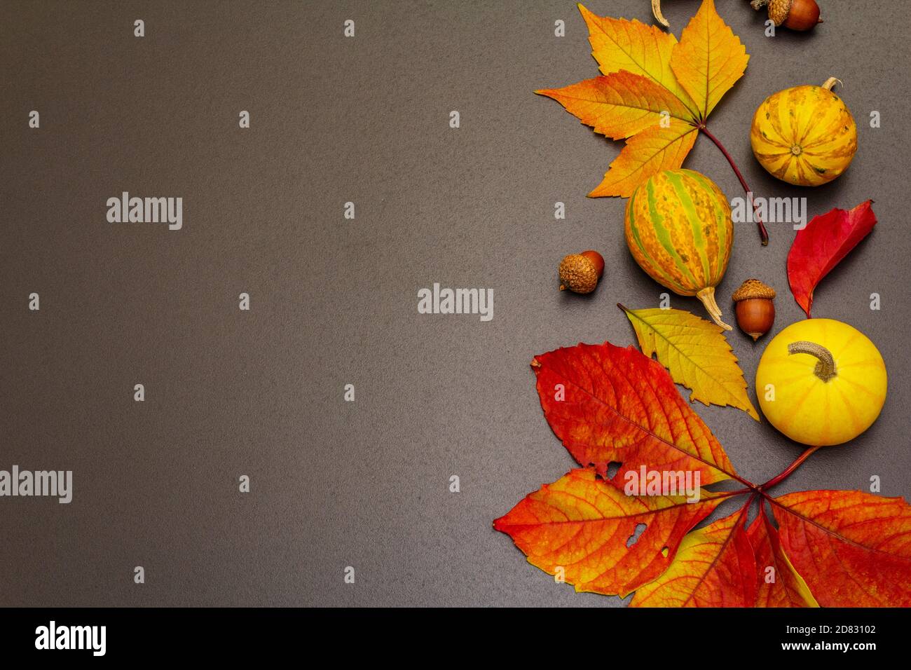 Autumn background with decorative pumpkins, fall leaves and acorns ...