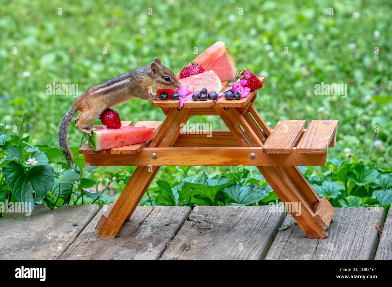 A small picnic table filled with a variety of summertime fruit ...