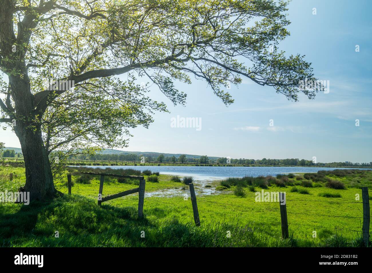 Lake and Tree Stock Photo - Alamy