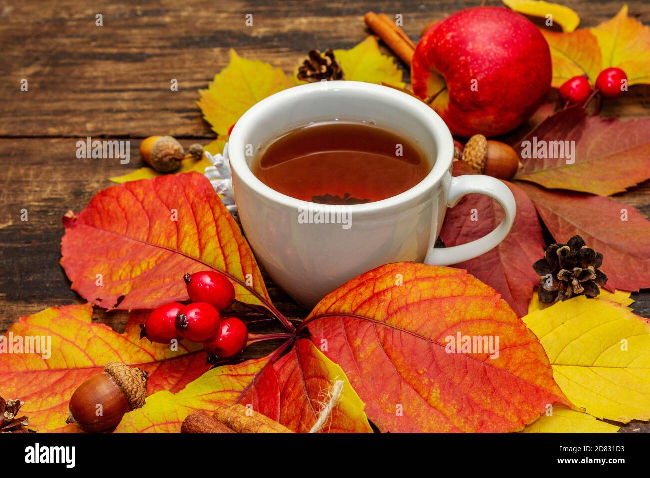 Hot tea with colorful autumn leaves, acorns, cinnamon and rosehip ...