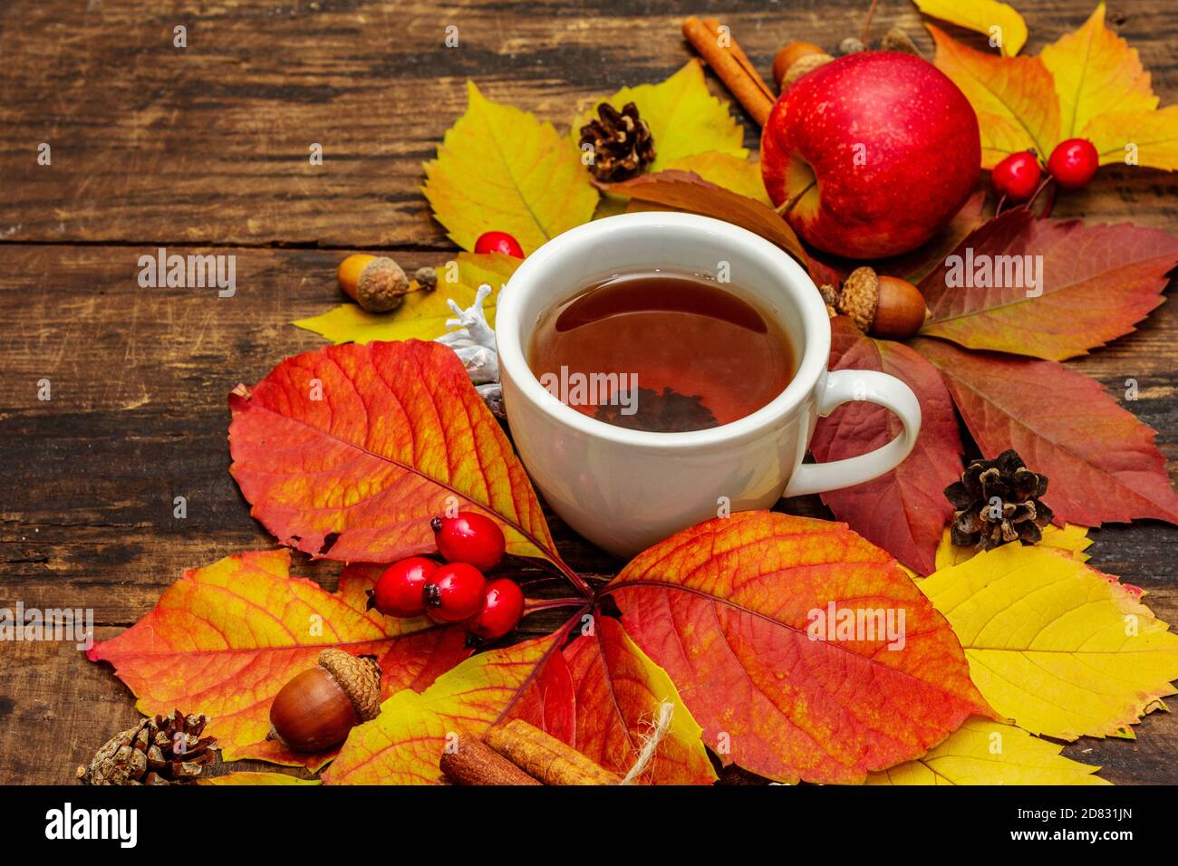 Hot tea with colorful autumn leaves, acorns, cinnamon and rosehip ...
