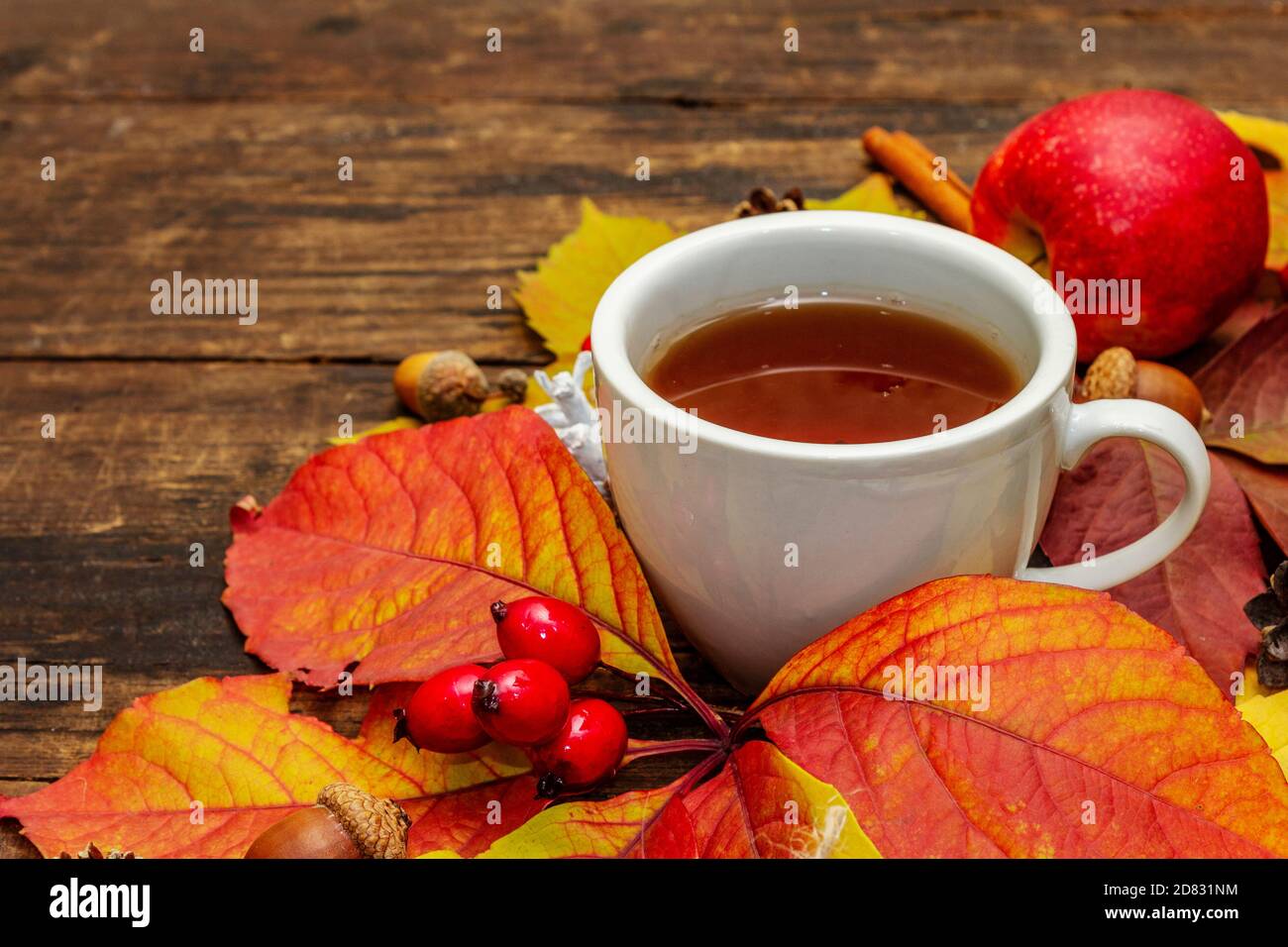 Hot tea with colorful autumn leaves, acorns, cinnamon and rosehip ...