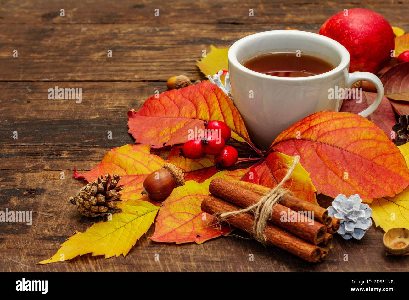 Hot tea with colorful autumn leaves, acorns, cinnamon and rosehip ...