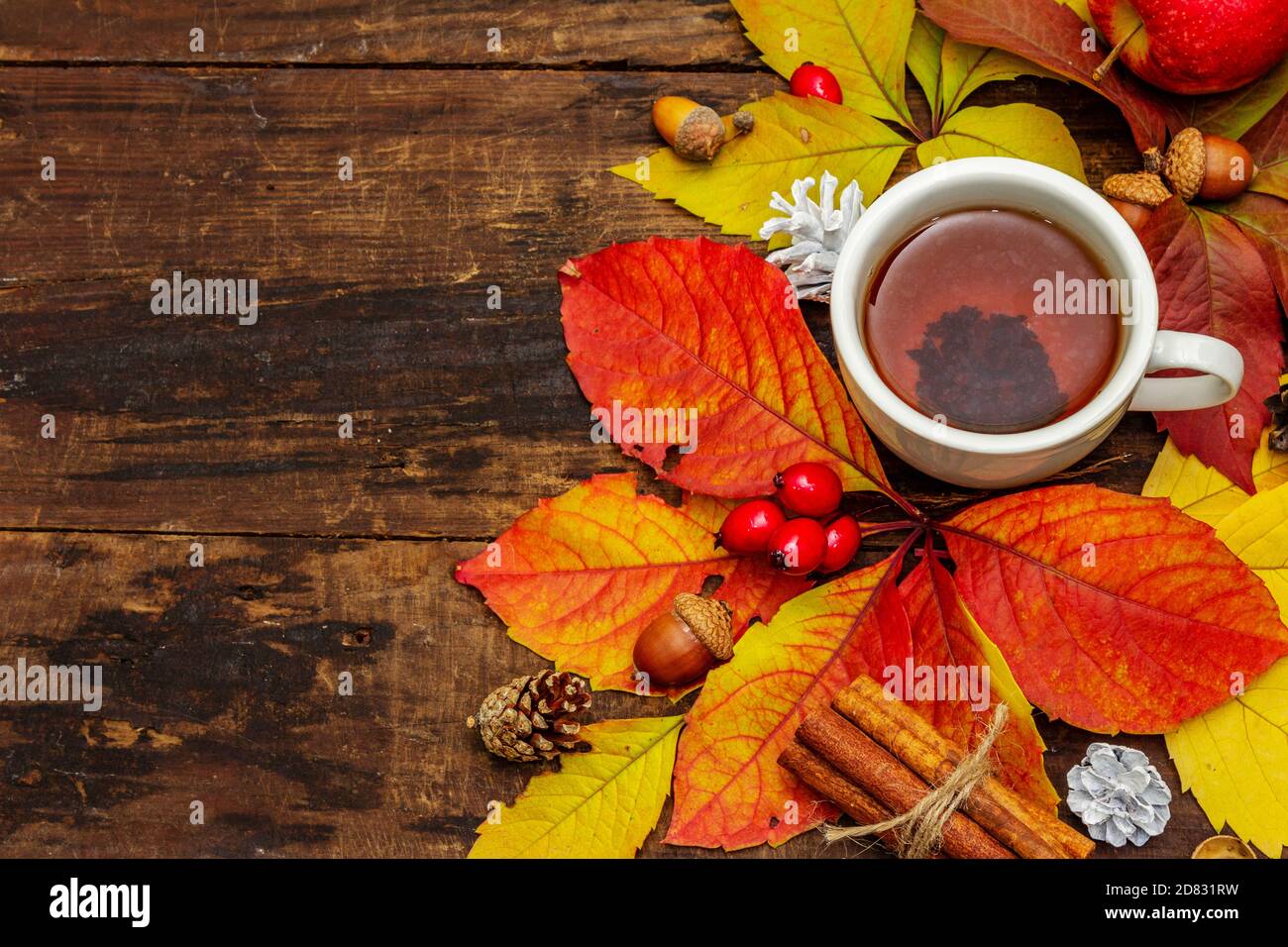 Hot tea with colorful autumn leaves, acorns, cinnamon and rosehip ...