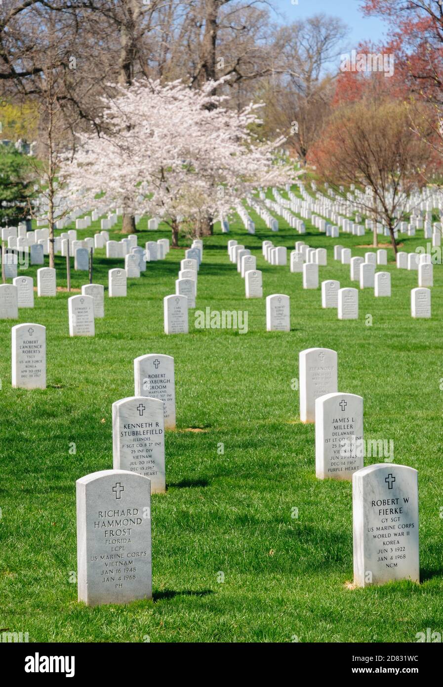 Arlington National Cemetery Stock Photo - Alamy