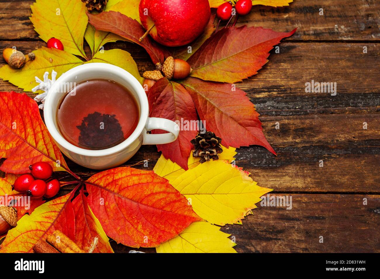Hot tea with colorful autumn leaves, acorns, cinnamon and rosehip ...