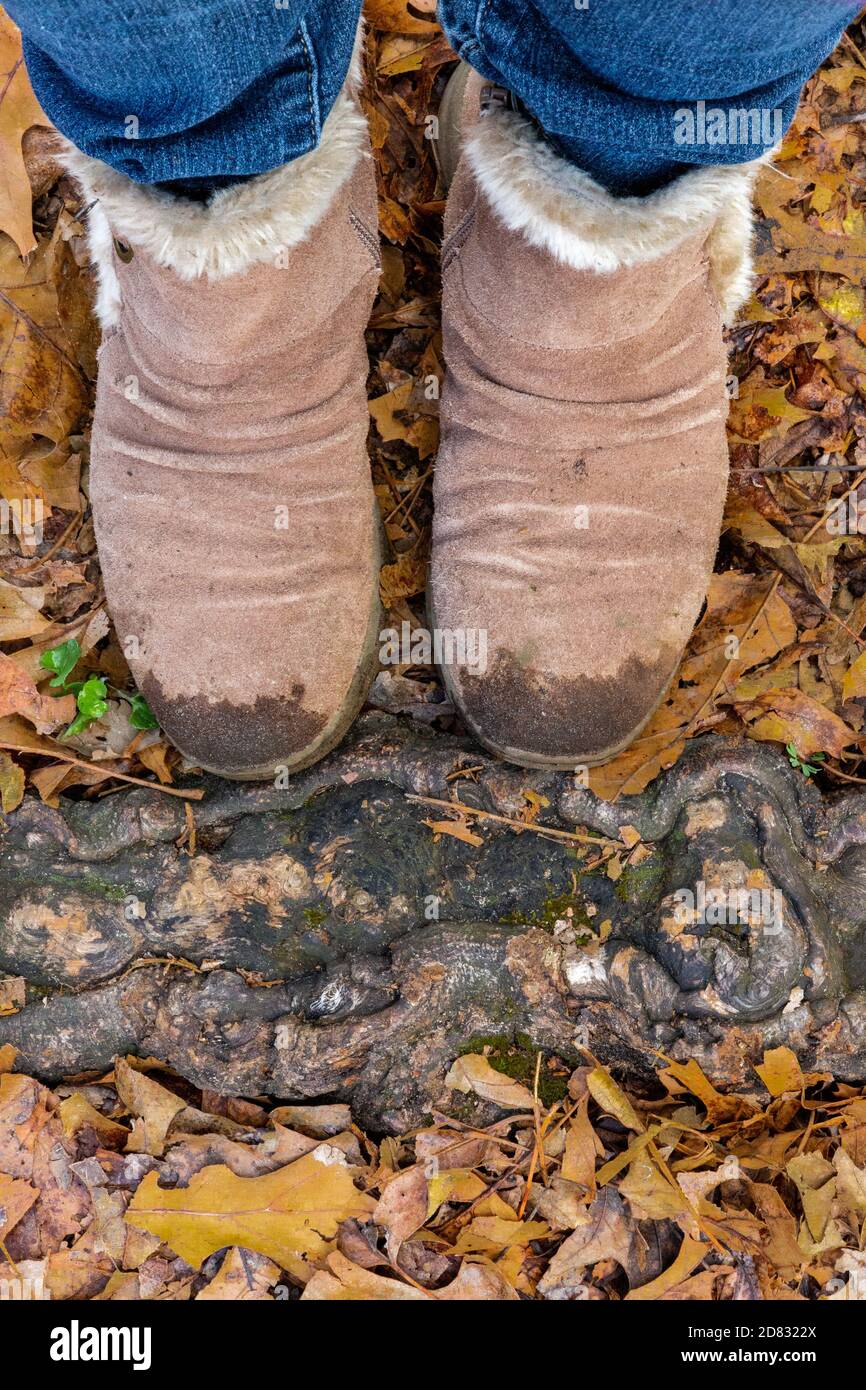 Tree root toes hi-res stock photography and images - Alamy