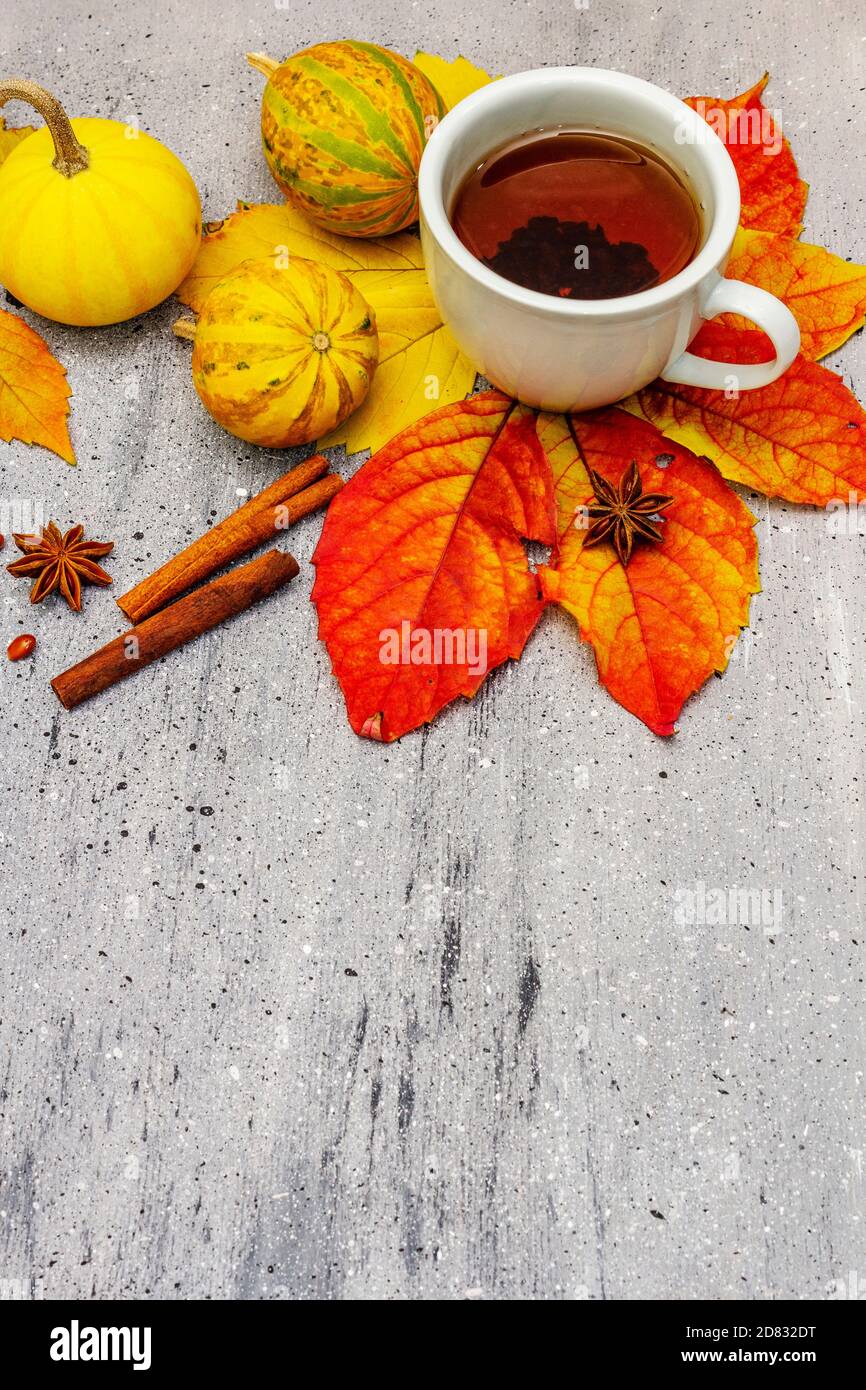 Hot tea with fall foliage, pumpkins, cinnamon sticks and star anise ...