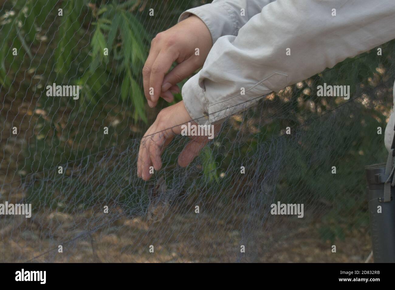 Mist net hi-res stock photography and images - Alamy