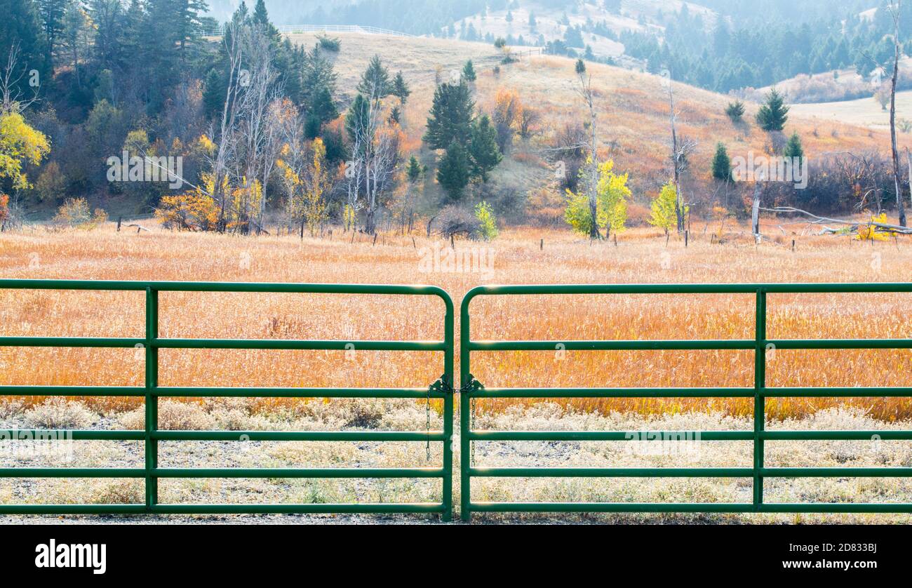 a green metal gate opening into a field of golden wild grass and hills ...
