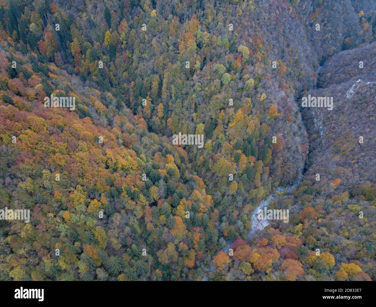 river flowing in the narrow valley Stock Photo - Alamy