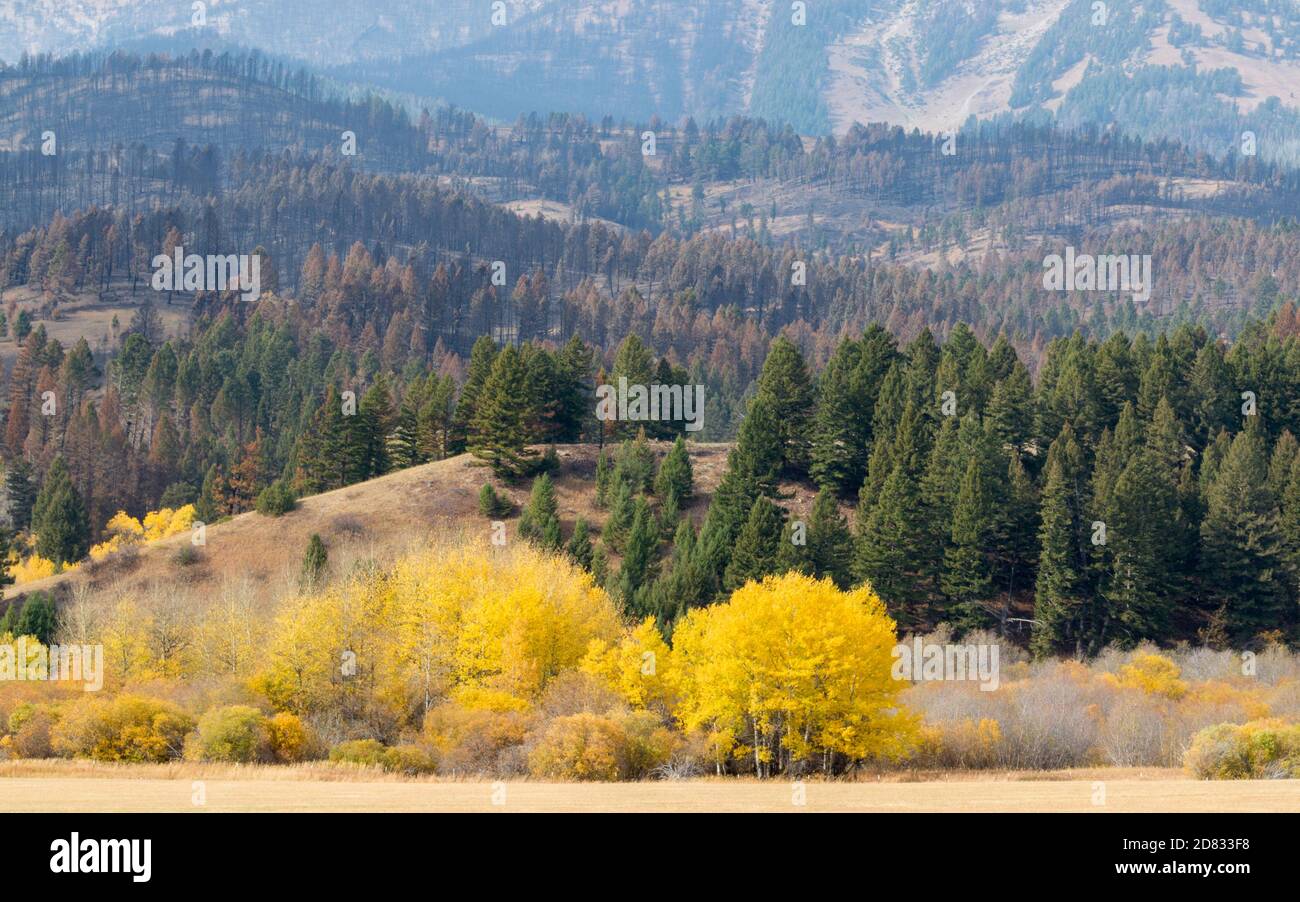 Bridger mountains hi-res stock photography and images - Alamy