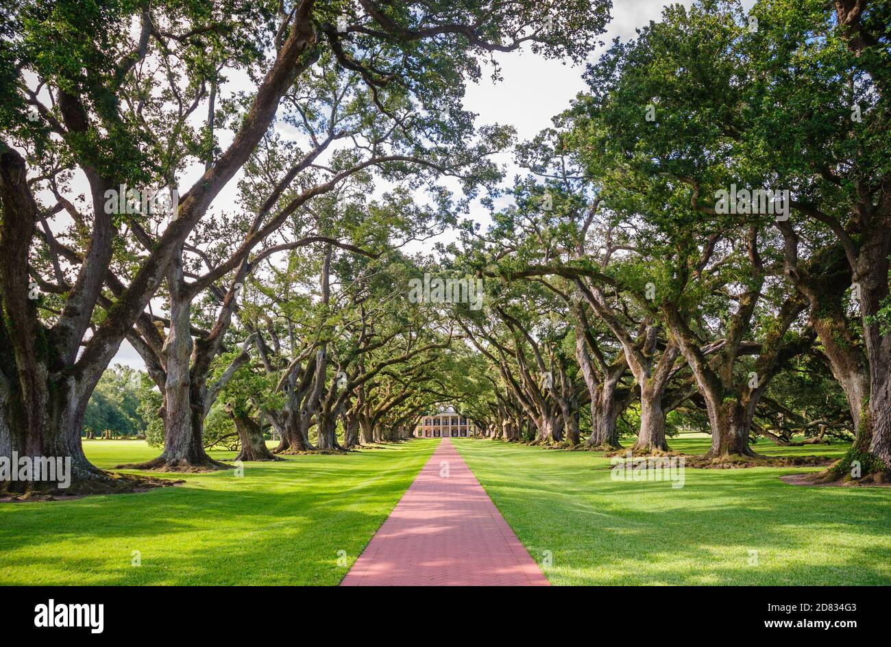Oak Alley Plantation Stock Photo - Alamy