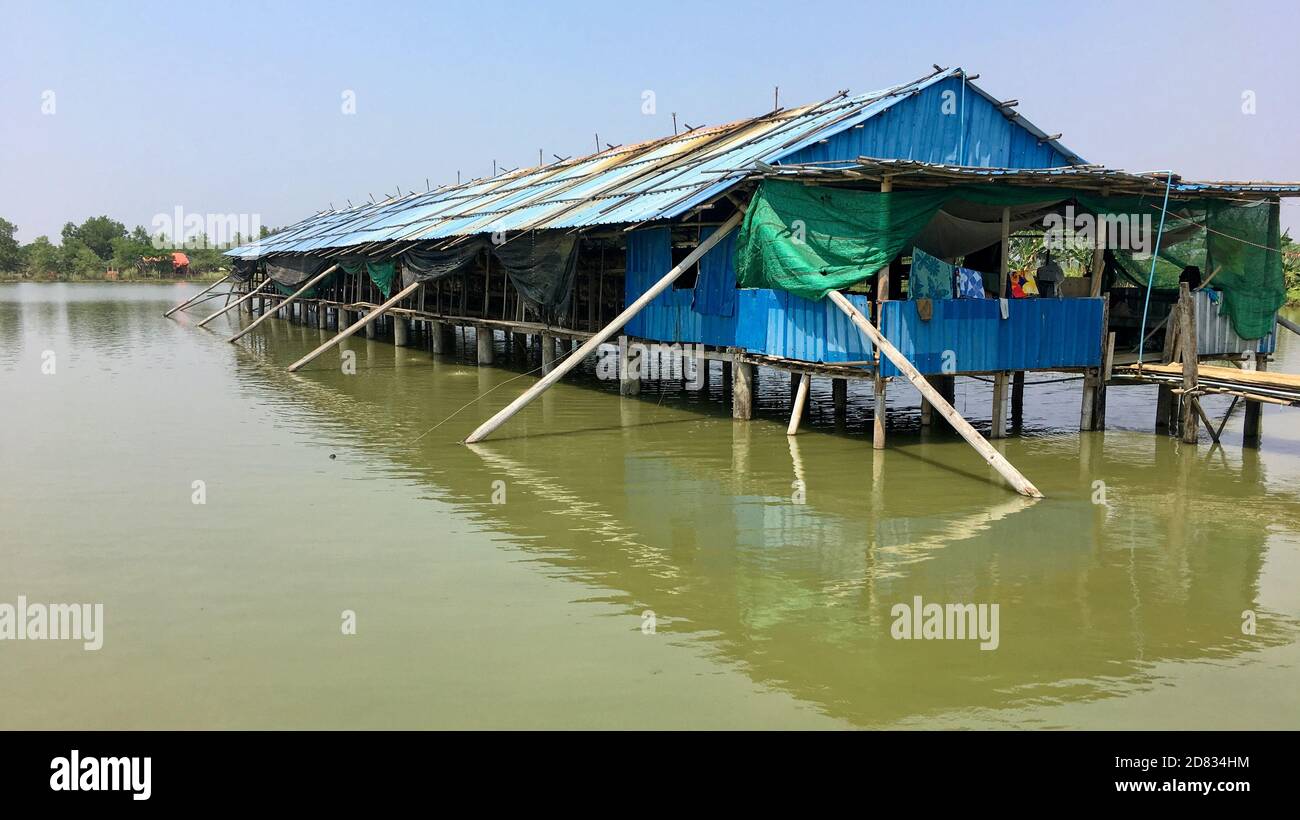 Freshwater fish of myanmar hi-res stock photography and images - Alamy