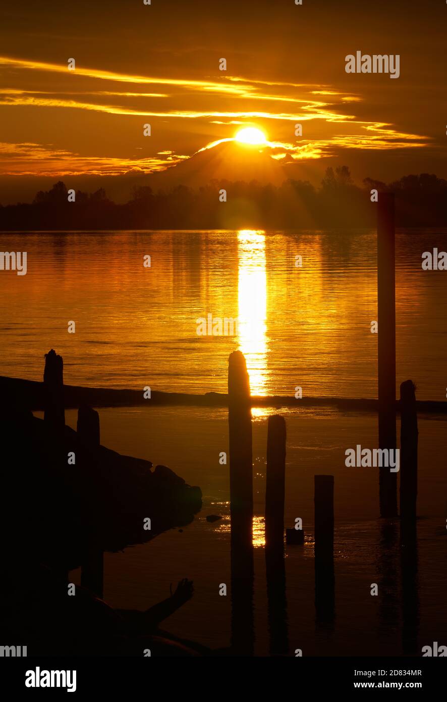 Mount Baker Fraser River Dawn. Sunrise over Mount Baker and the Fraser River vertical video ...
