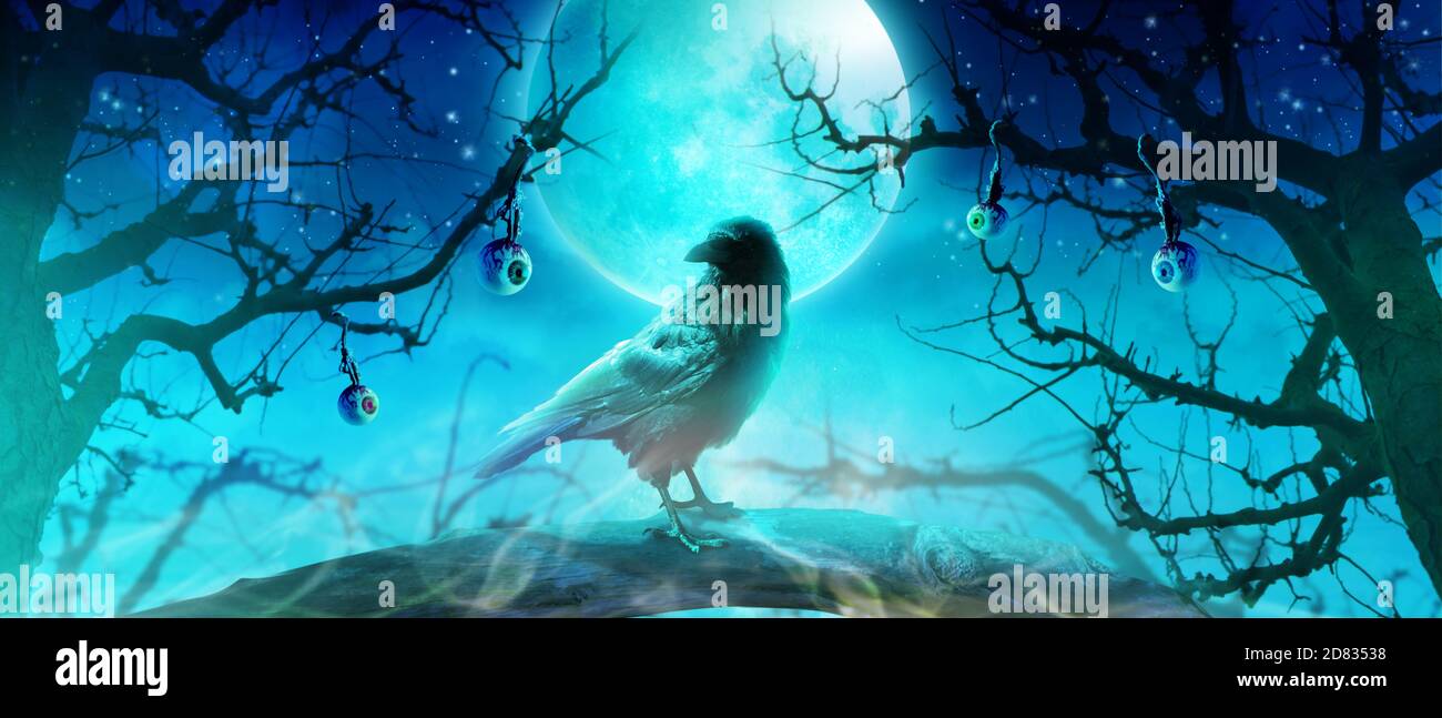 Halloween background with raven in a spooky night Stock Photo - Alamy