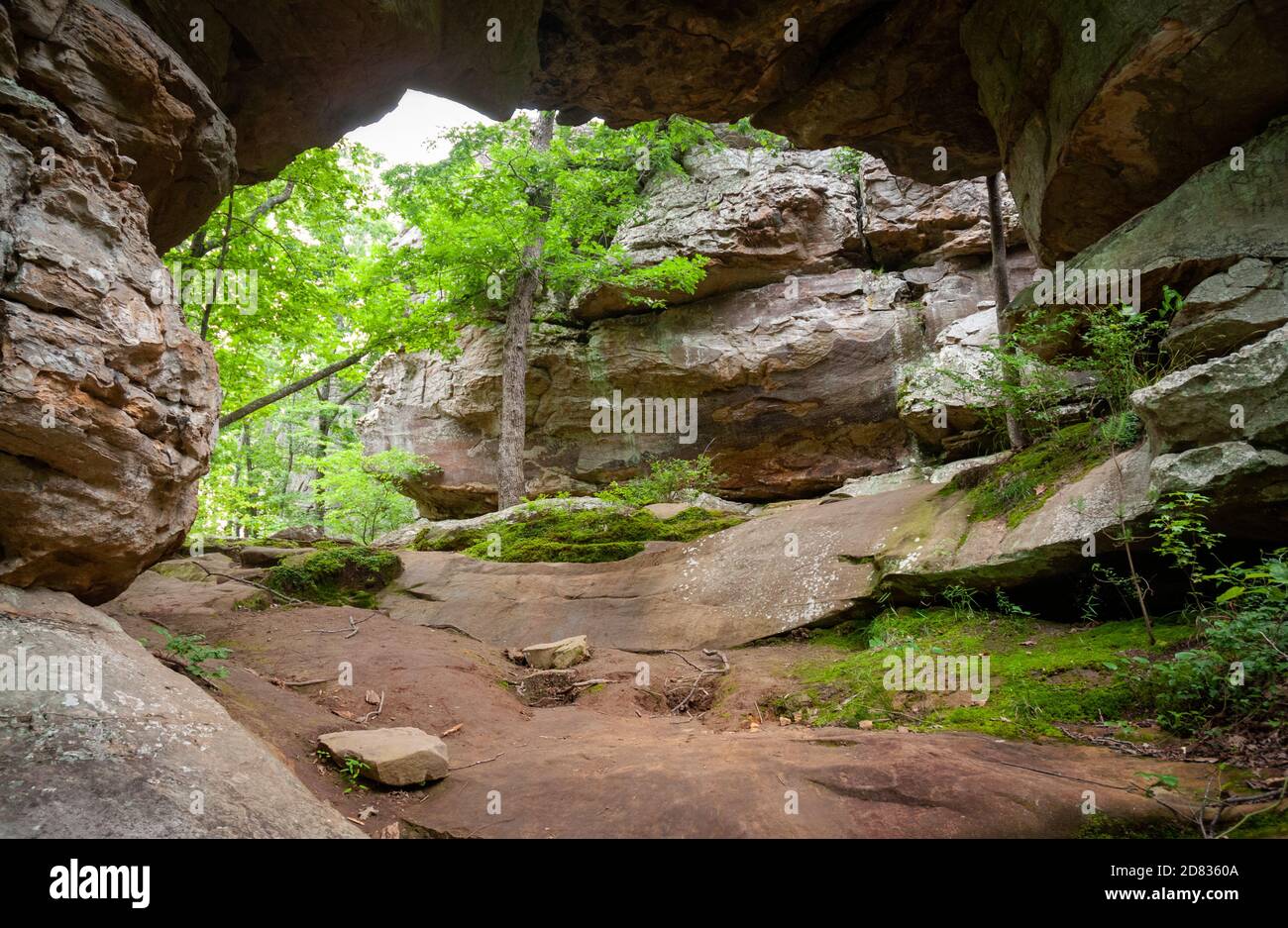 Petit Jean State Park Stock Photo - Alamy