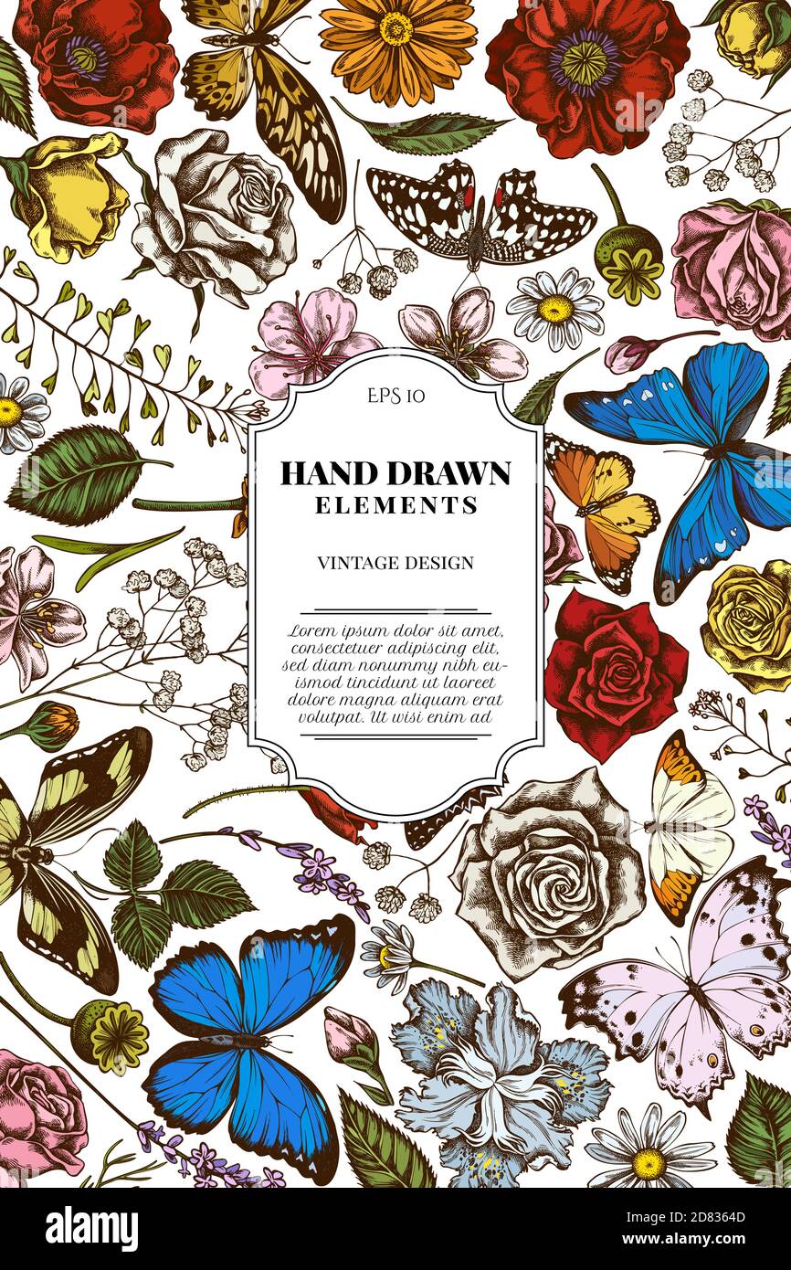 Dried iris Stock Vector Images - Alamy